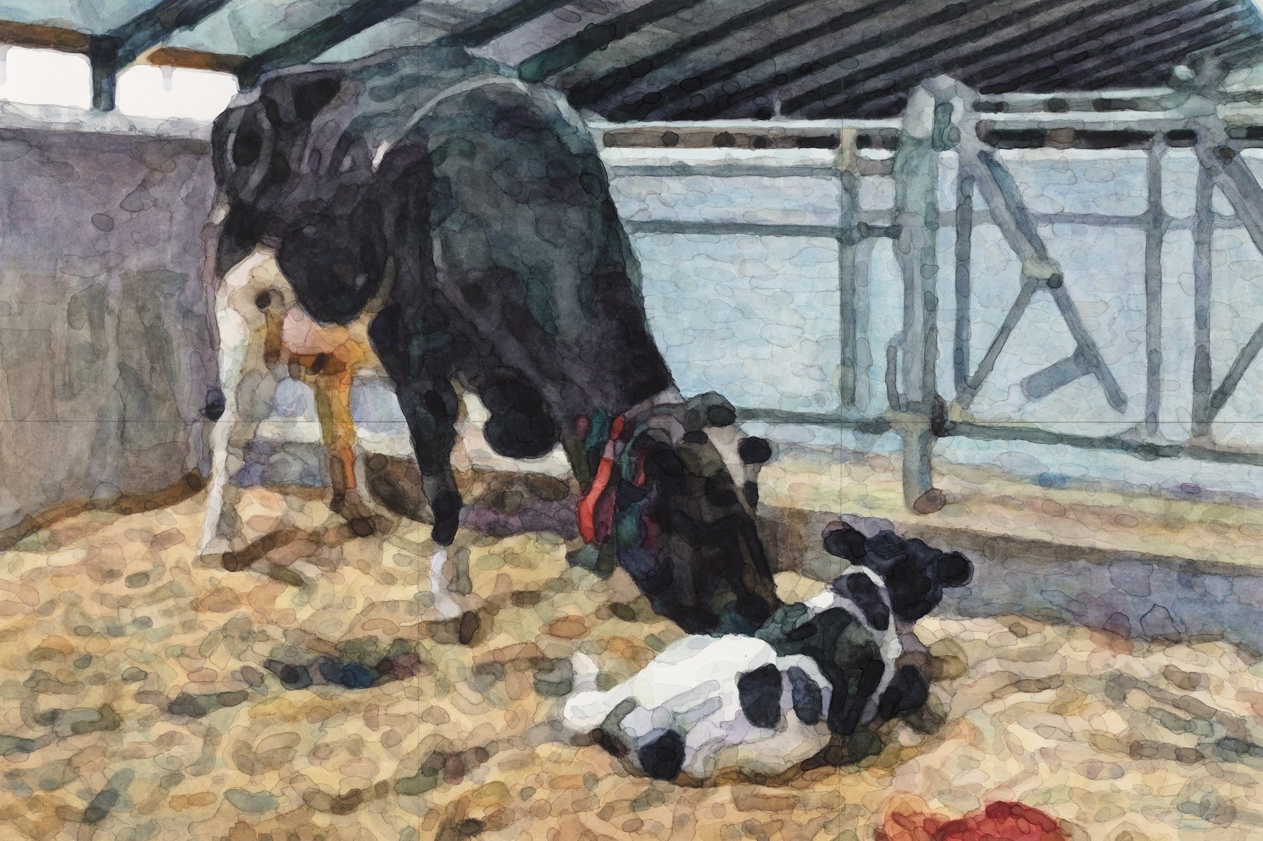 Ugens kunstner: Allan Otte