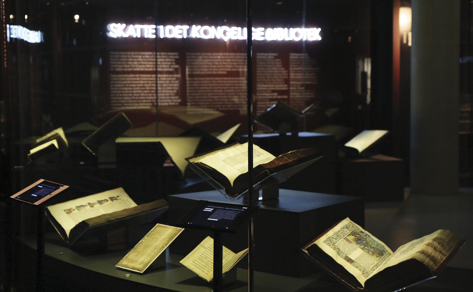 Skatte i Det Kongelige Bibliotek - Art Matter - Guide - Journal - Festival