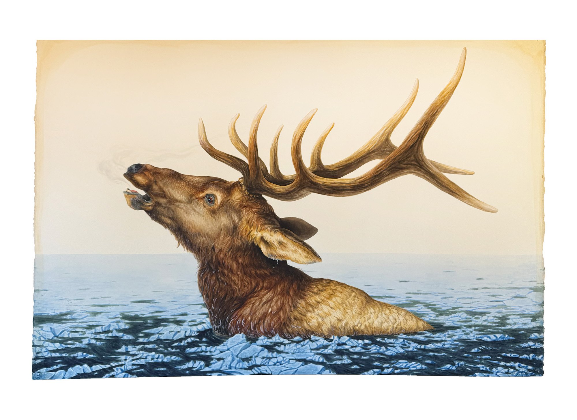 Jed Webster Smith: Borders and Barbed Wire - Art Matter - Guide ...