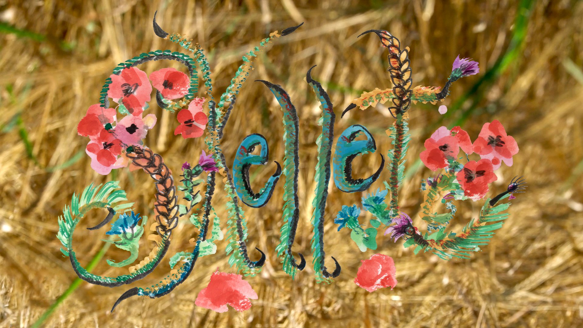 Filmvisning - Skellet, en film af Anne-Mette Schultz og Louis Scherfig ...