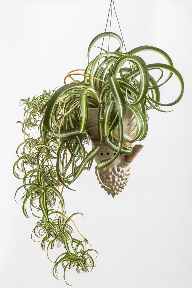 ATRIUM - Art Matter - Guide - Journal - Festival