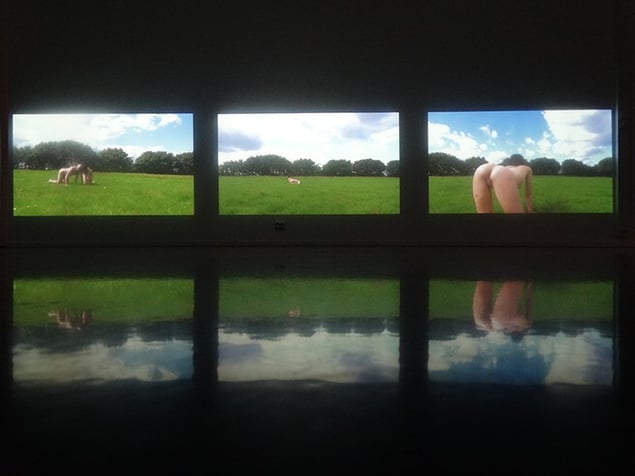 Noelia Mora Solvez: FARMING - Art Matter - Guide - Journal - Festival