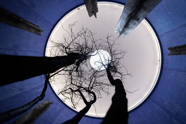 Rune Bosse: Circularis - Art Matter - Guide - Journal - Festival